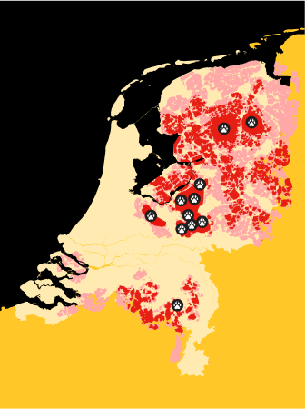Hoe de wolf Nederland verdeelt